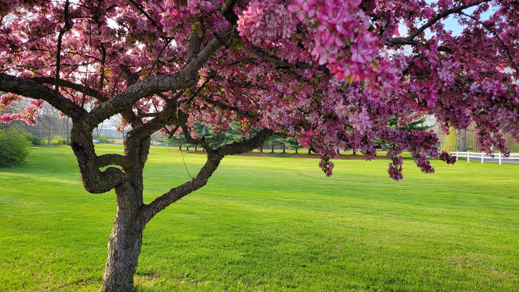 Spring Time at Brook Pointe Inn - Brook Pointe Resort